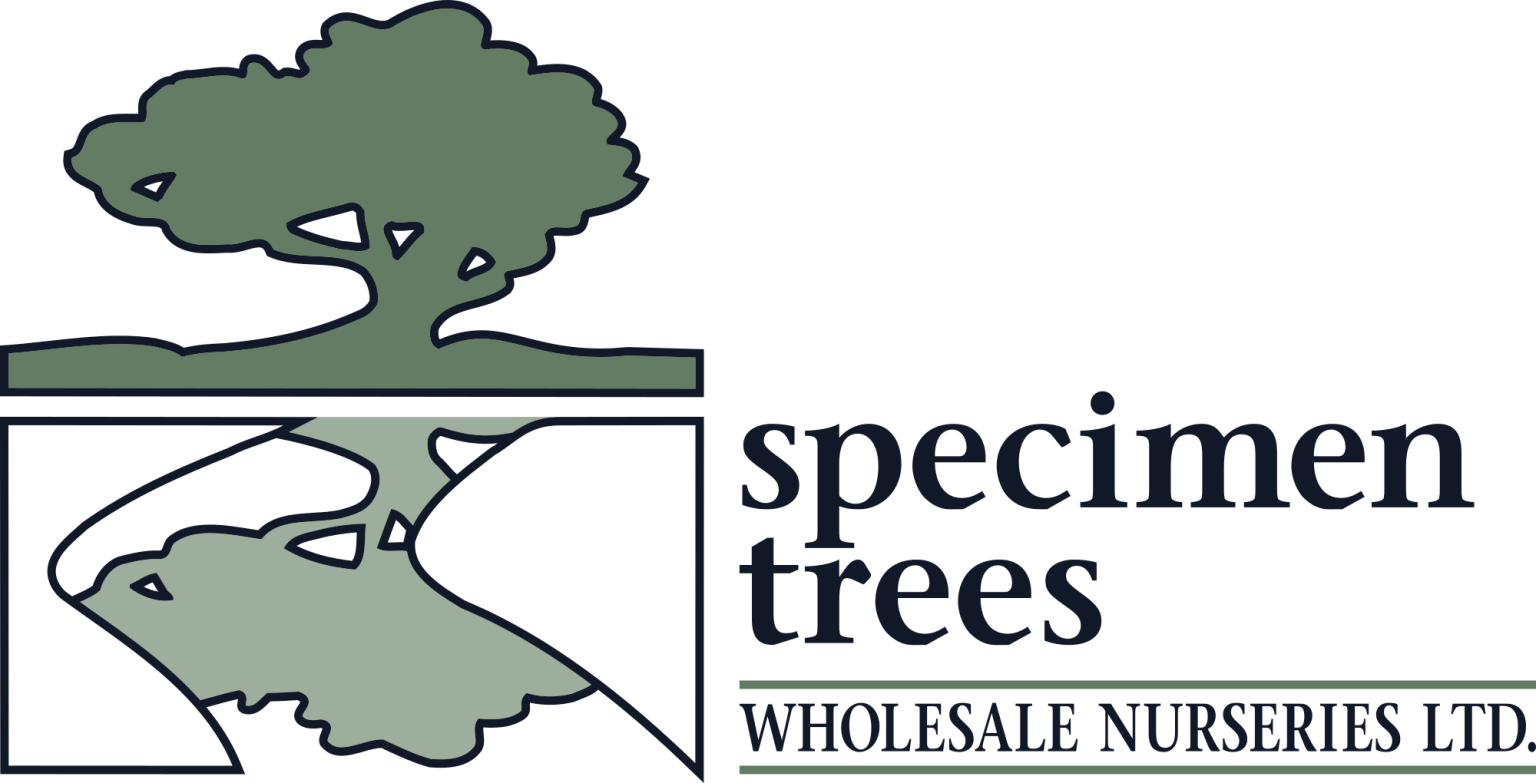 Specimen Trees